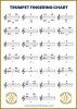 Trumpet Fingering Chart - All things trumpet valves! | WindWorks ...